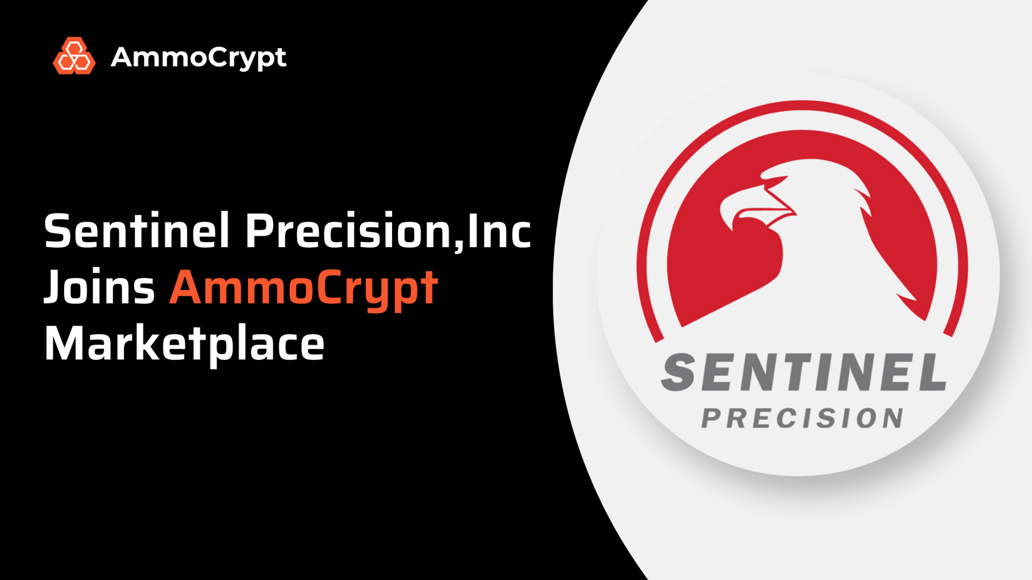 AmmoCrypt's Blockchain : Transforming Ammunition Trade 🚀